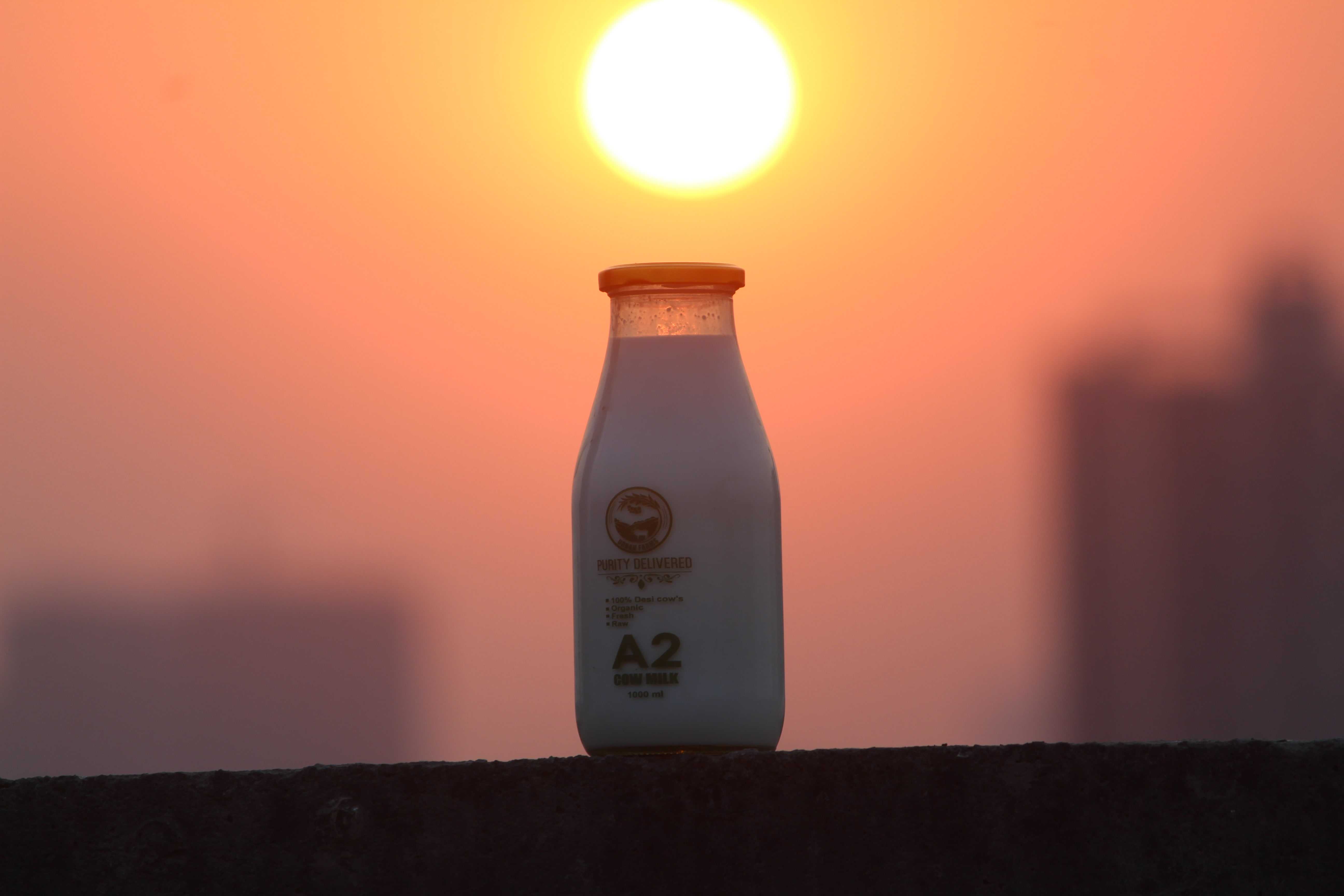 Urban Farms Milk Best A2 Milks Desi Cow Milk Cow Milk In Pune Gir Urban Farms Milk Best A2 Milks Desi Cow Milk Cow Milk In Pune Gir